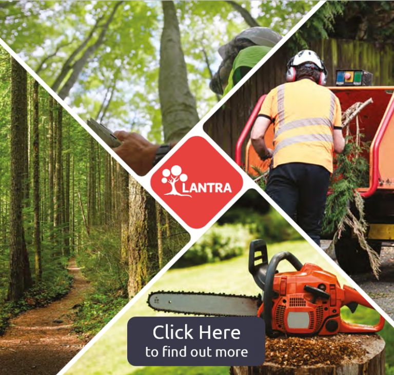 About Lantra – Lantra